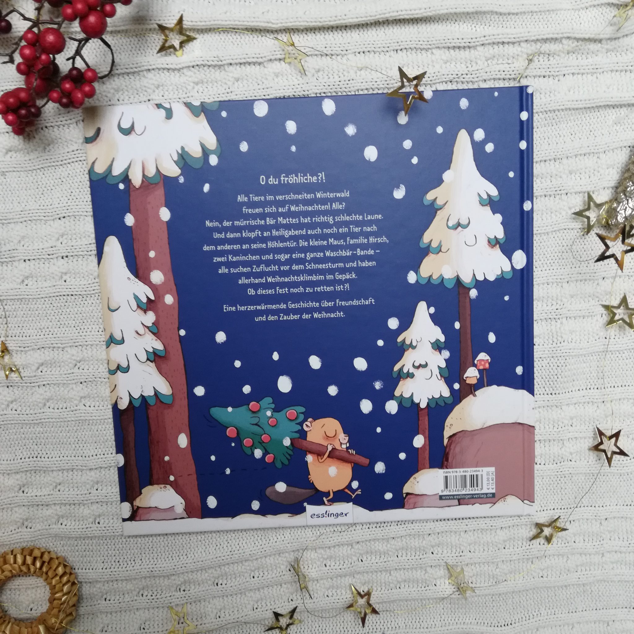 13026408037380410059alleein Lustiges Weihnachtsbuch In Der Weihnachtshc383c2b6hle Ist Noch Platz Buchkinderbloghtml