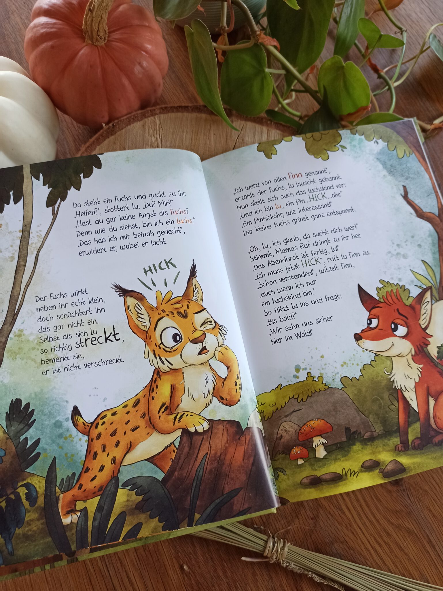 "Fuchs und Luchs. Freundschaft mit Schluckauf" - Buchkinderblog
