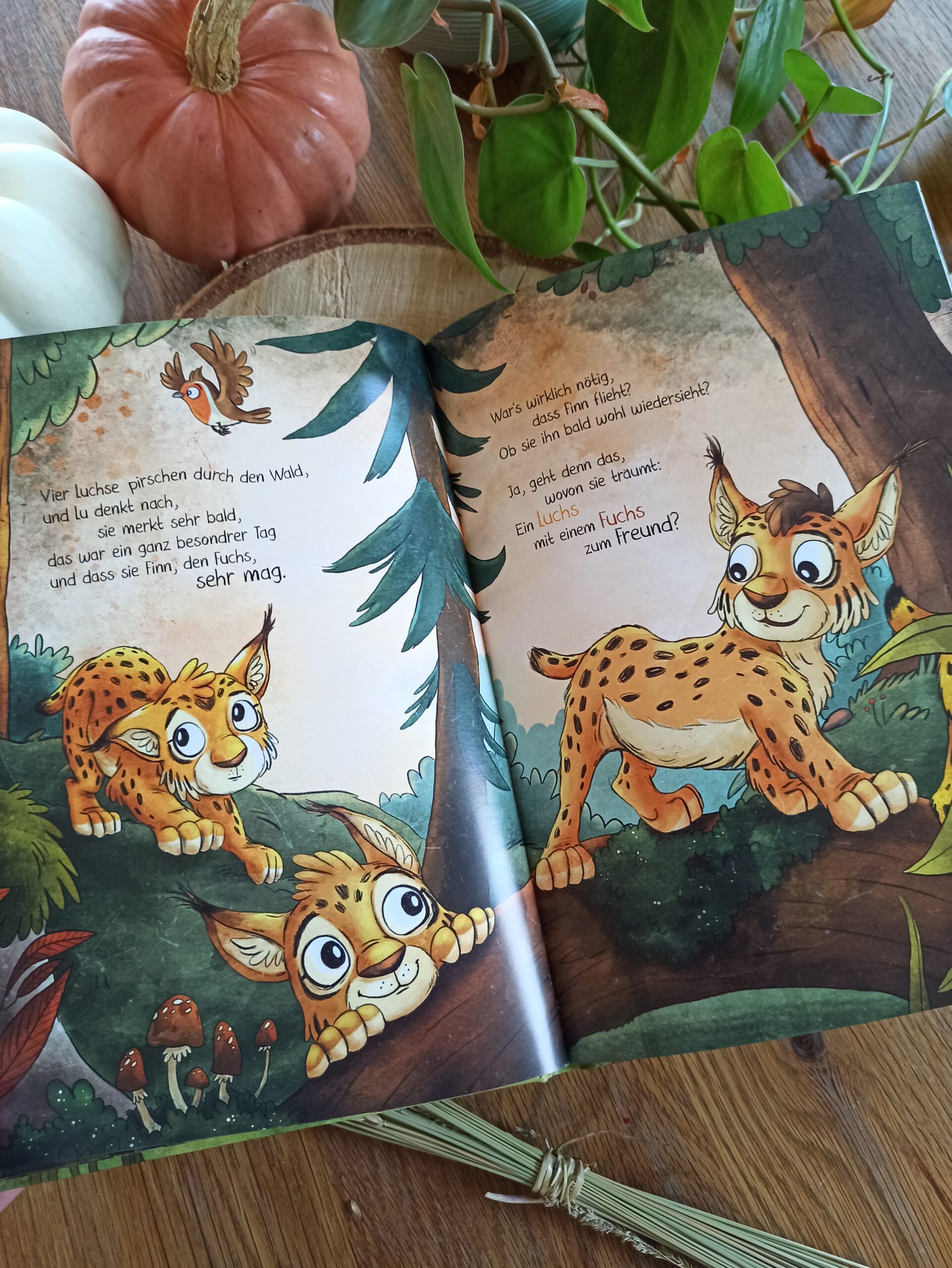 "Fuchs und Luchs. Freundschaft mit Schluckauf" - Buchkinderblog