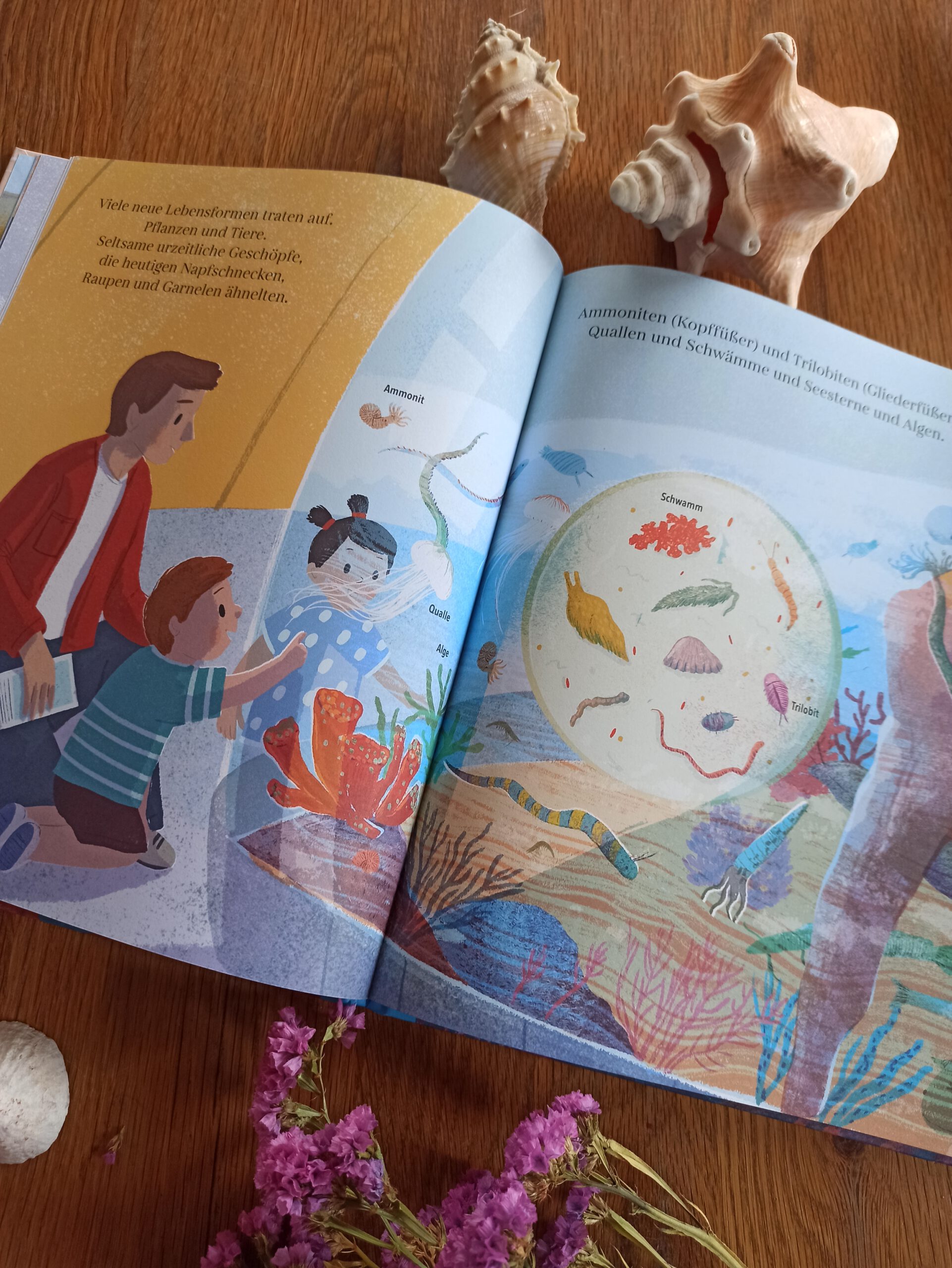 "So entsteht das Meer" - Sally Nicholls, Carolina Rabei - Buchkinderblog