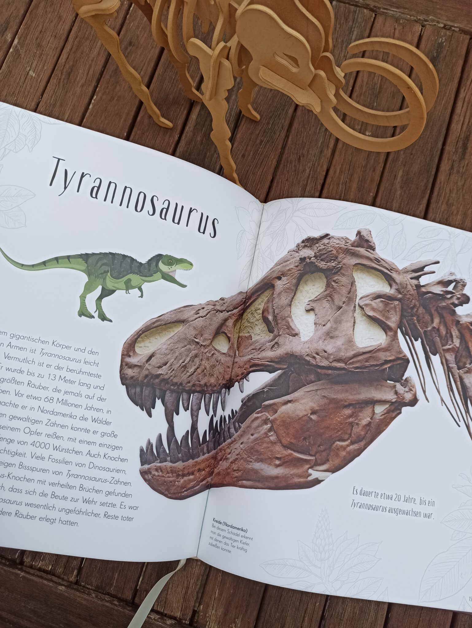 Ein fantastisches Kindersachbuch: "Wundervolle Welt der Dinosaurier und der Urzeit" - Buchkinderblog