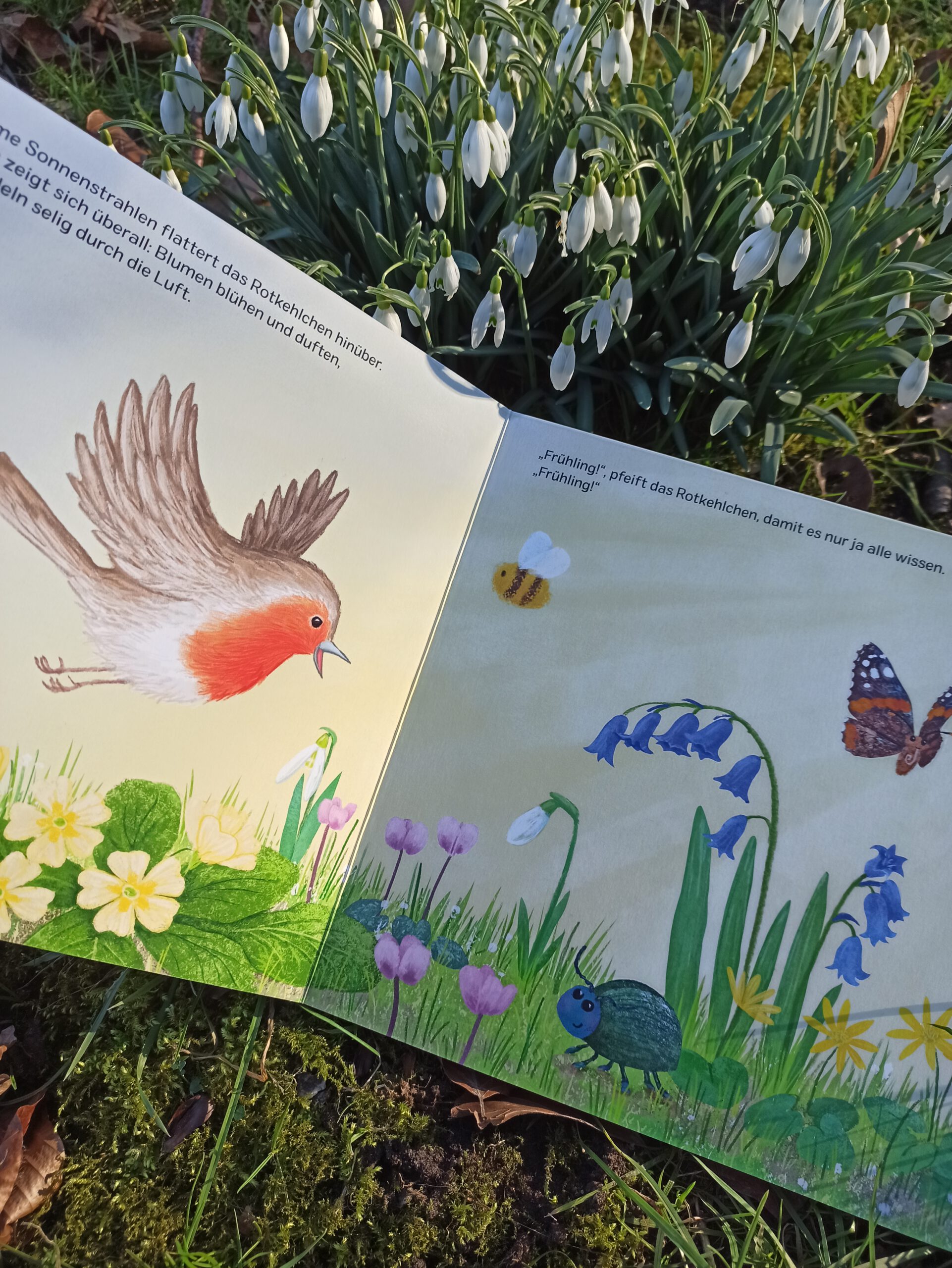 "Endlich Frühling!" - Michael Engler, Sharon Harmer - Buchkinderblog