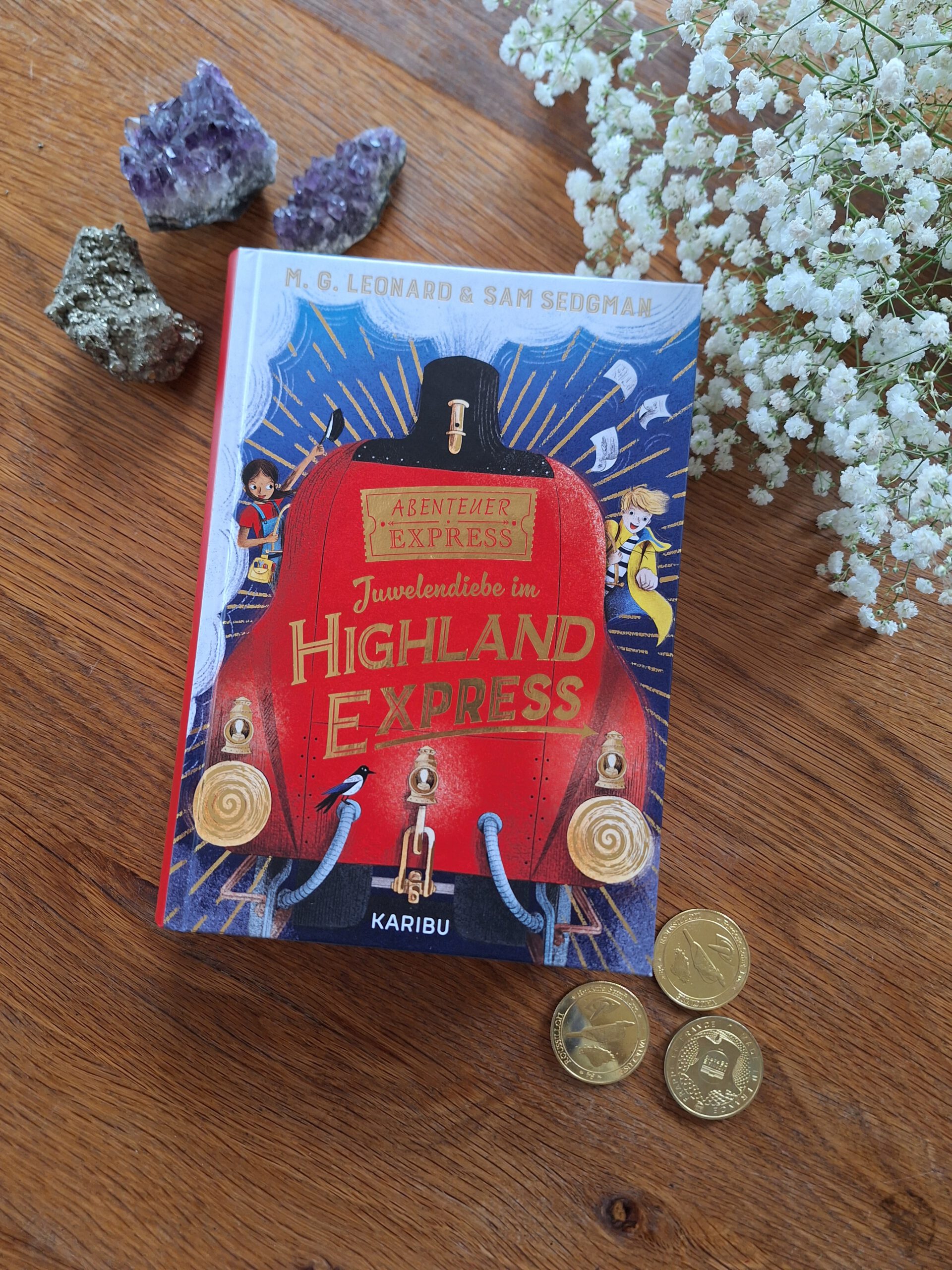 "Juwelendiebe im Highland Express" - Buchkinderblog