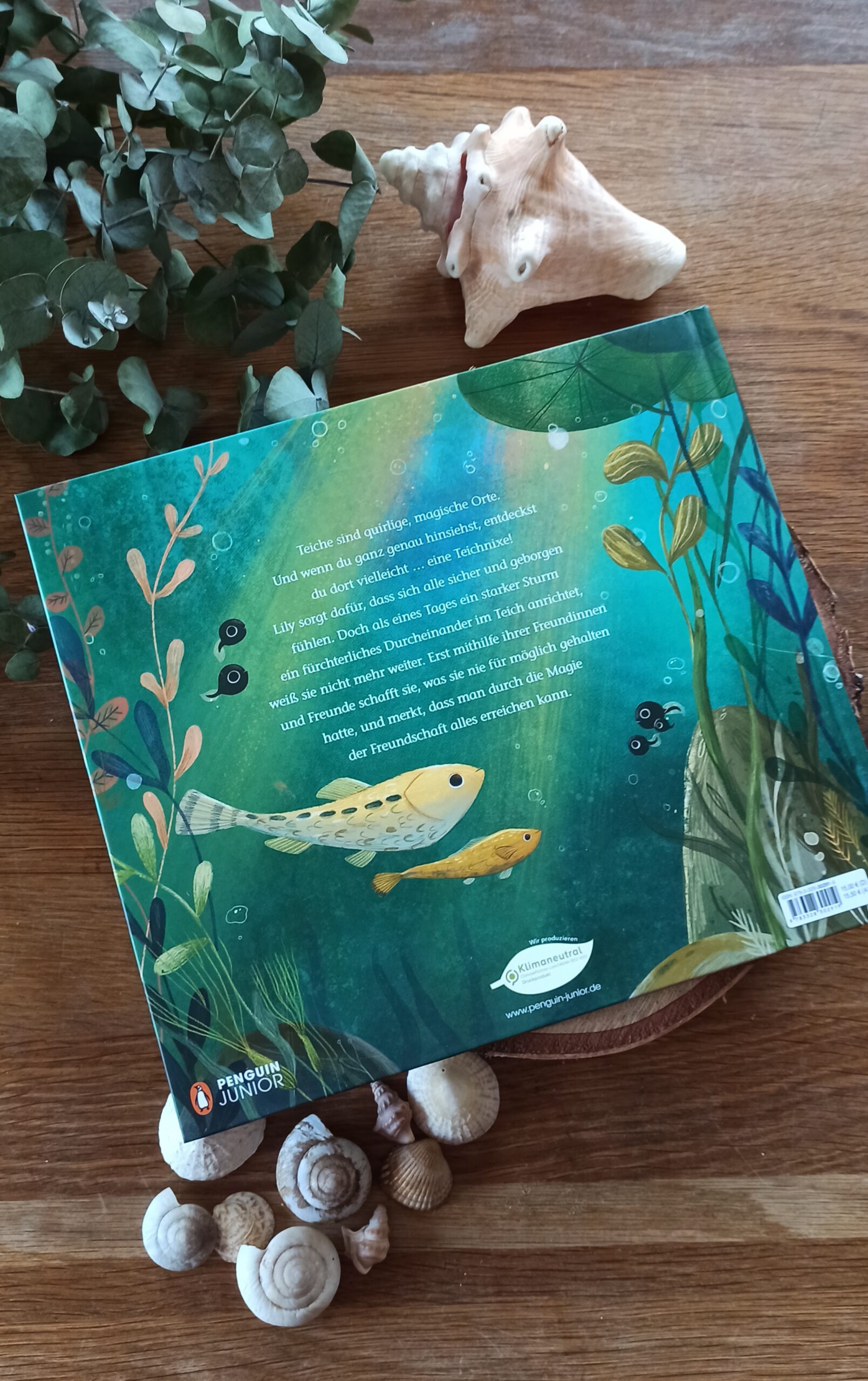 Hilfe und Freundschaft: "Lily und der Herzenszauber" - Buchkinderblog