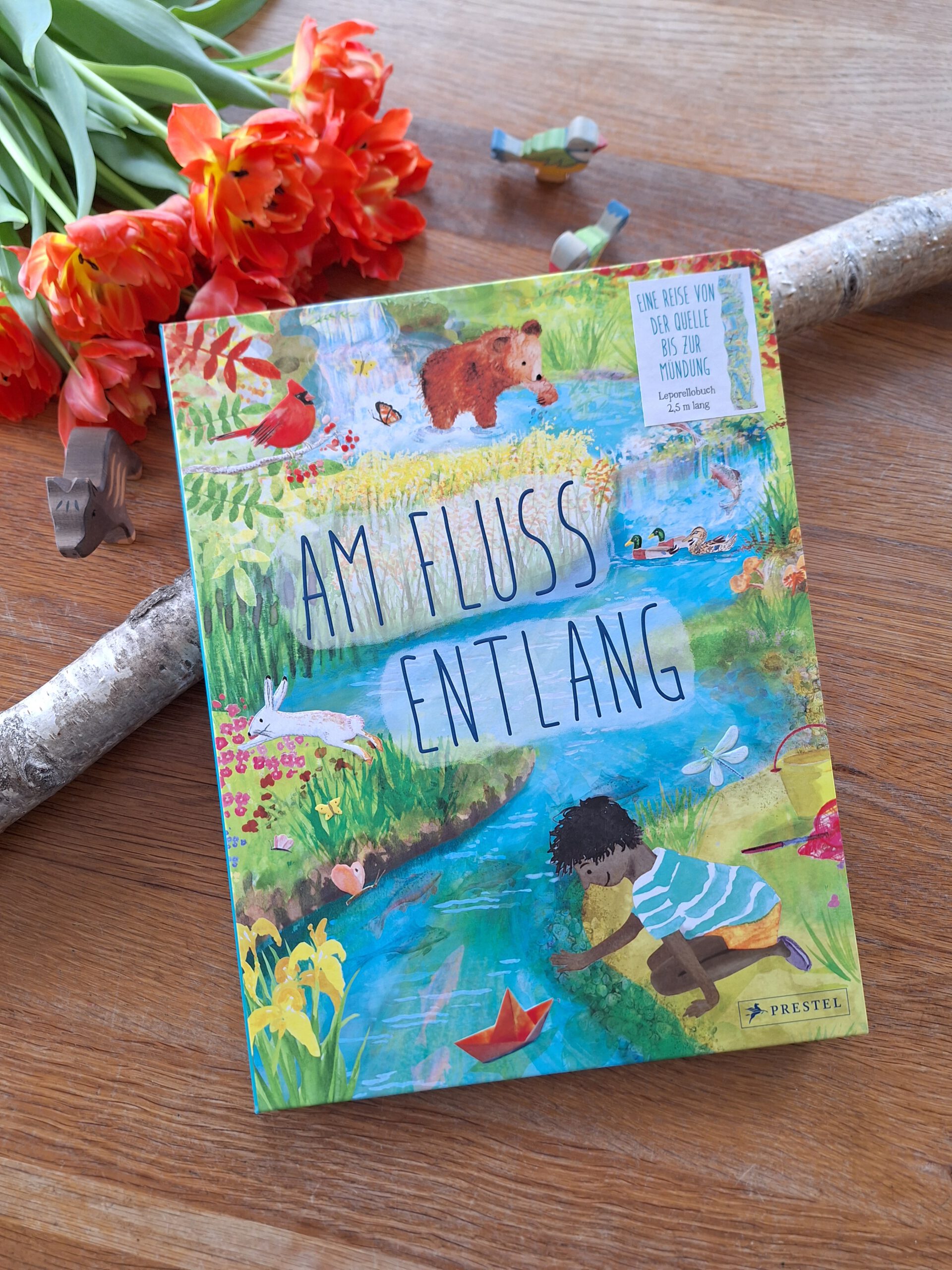 Ein Leporello - Sachbuch: "Am Fluss entlang" - Buchkinderblog