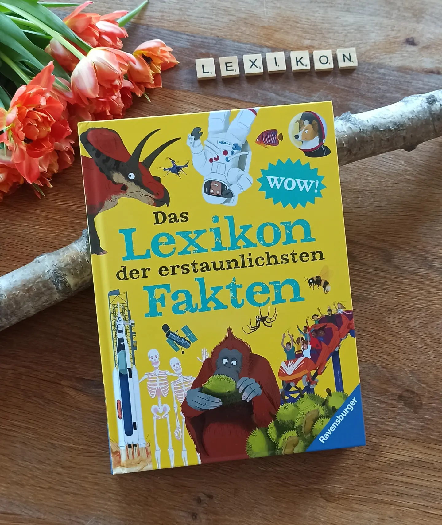"Das Lexikon der erstaunlichsten Fakten" - Buchkinderblog
