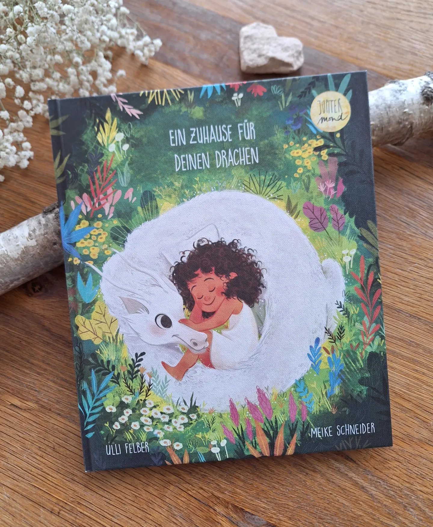 Ein Zuhause Fur Deinen Drachen