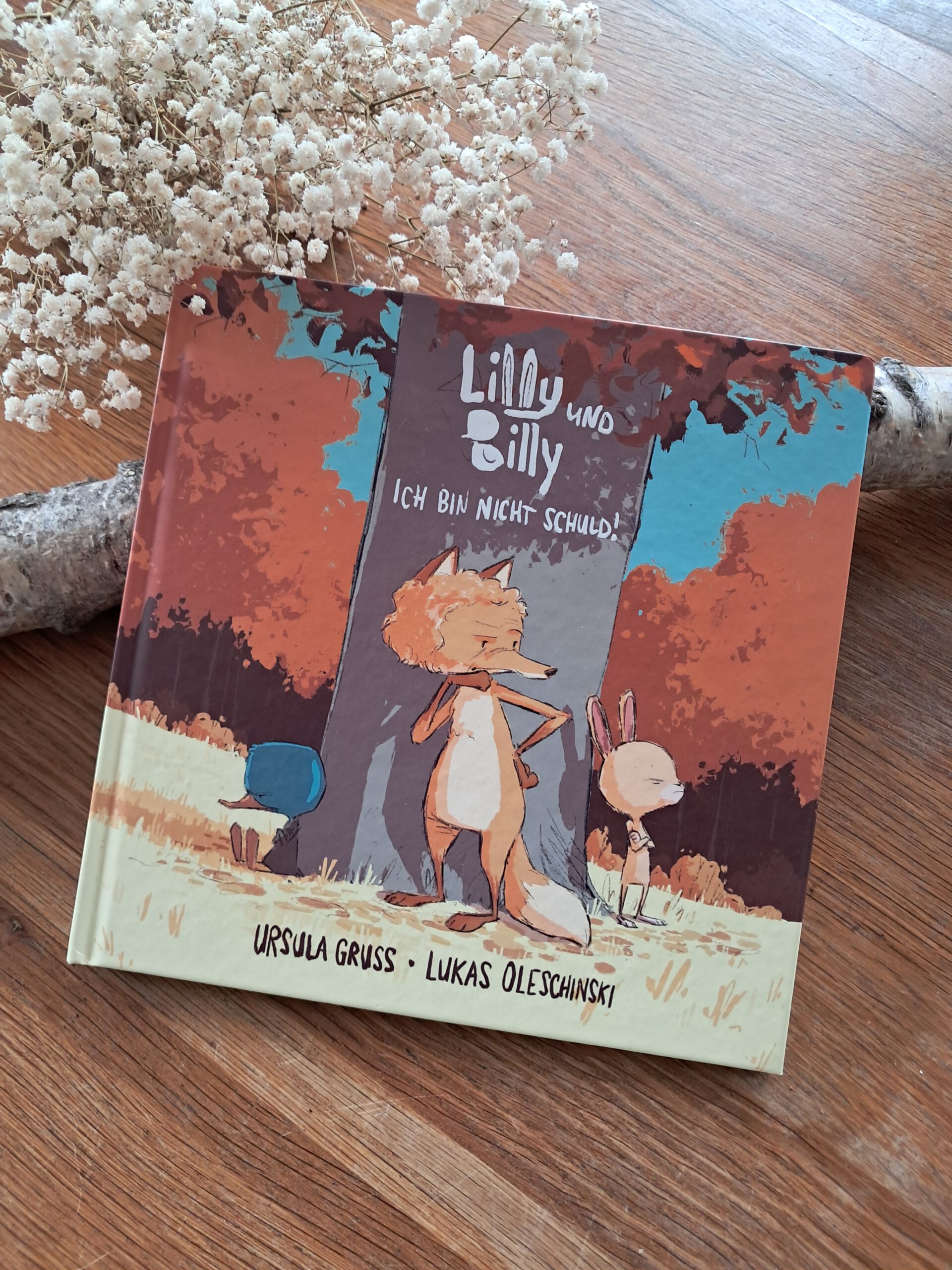 "Lilly und Billy. Ich bin nicht Schuld!" - Buchkinderblog