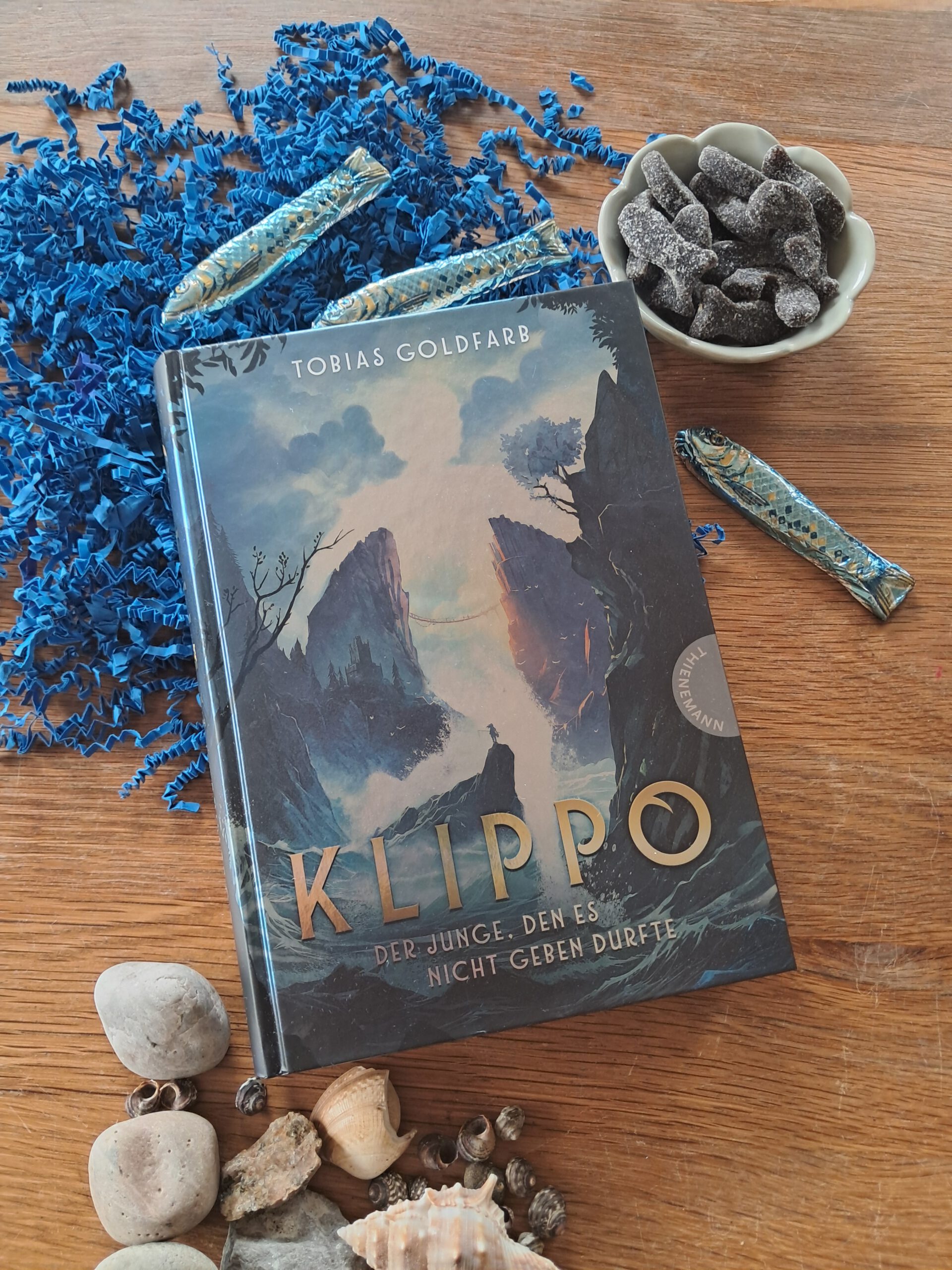 "Klippo. Der Junge, den es nicht geben durfte" - Buchkinderblog