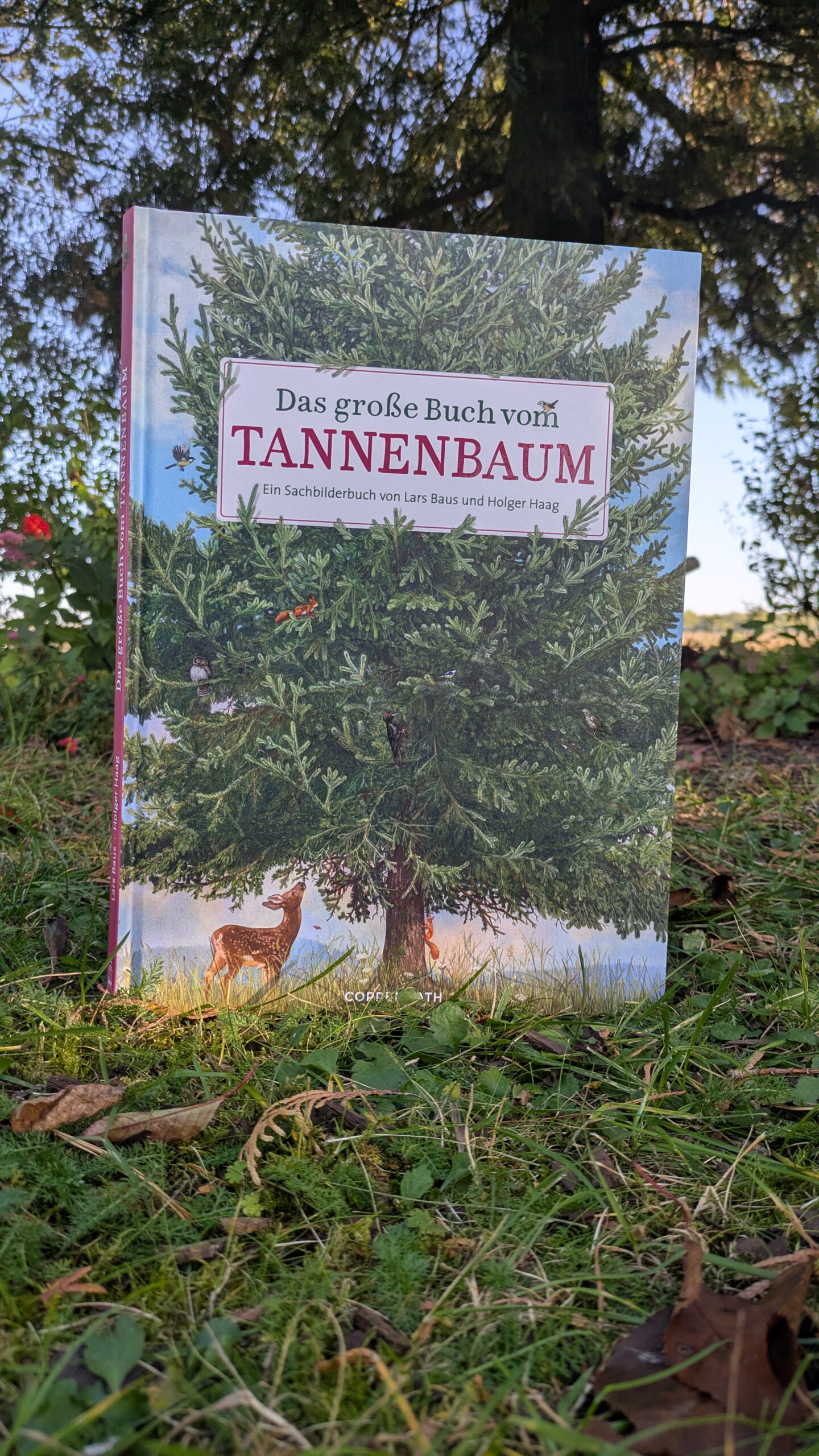 "Das große Buch vom Tannenbaum" - Buchkinderblog
